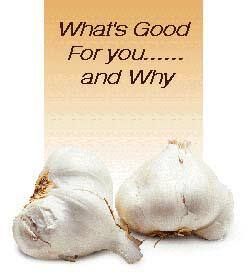 What's Good For You and Why Garlic - Life Extension