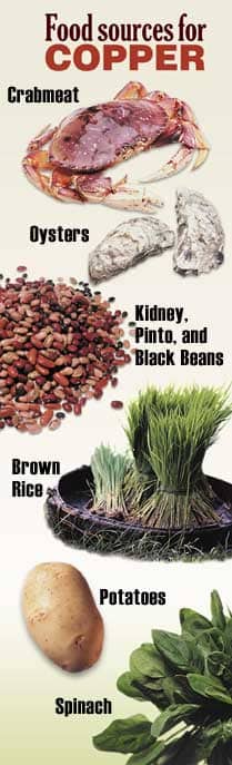 What Is The Best Way To Supplement With Copper? - Life Extension