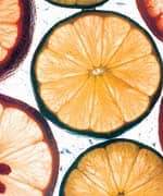 How Sytrinol Lowers Cholesterol - Life Extension